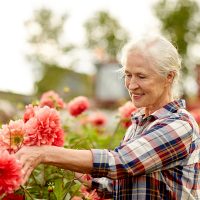 Top Tips for preparing your Garden for Spring | Damart Style Diaries